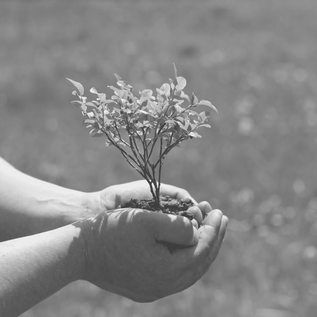 What Is ISO 14001 And Why Is It Important? - ISO Consultancy For ...