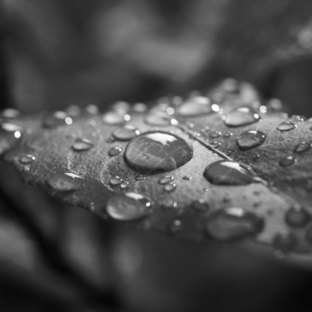 What Is The Difference Between ISO 14001 And ISO 45001? - ISO Consultancy For Certification ...